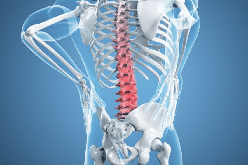 Specifieke lage rugpijn - Fysiotherapie Leeuwarden First Fysio