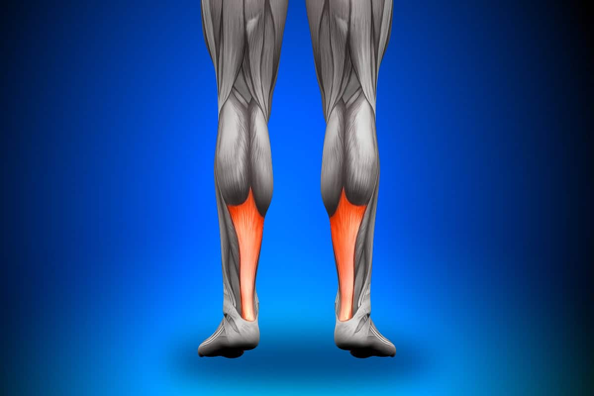 Achillespees tendinopathie | Fysio Leeuwarden First Fysio